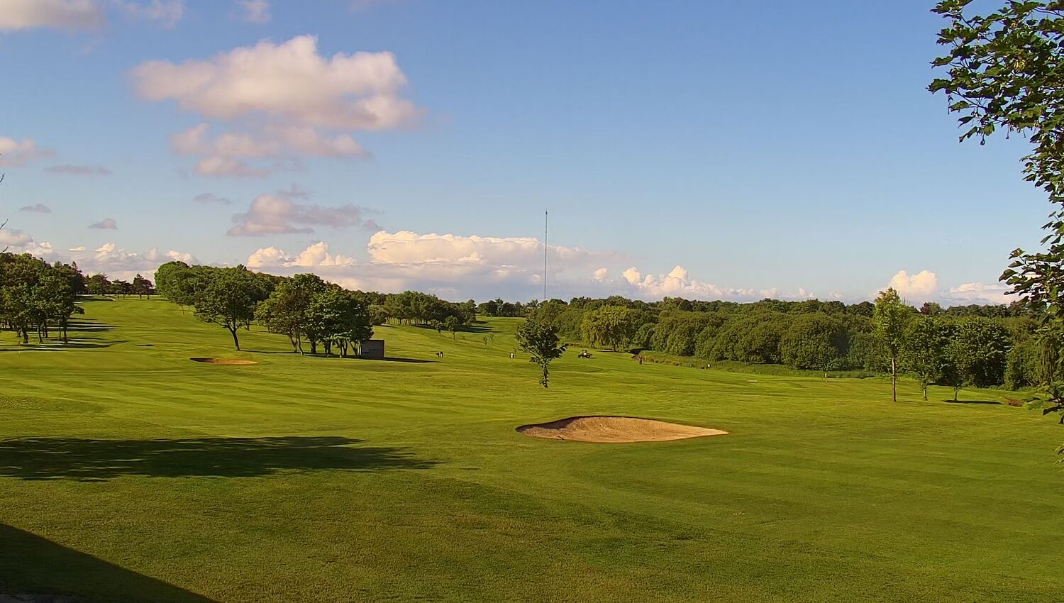 Home [www.heyshamgolfclub.co.uk]